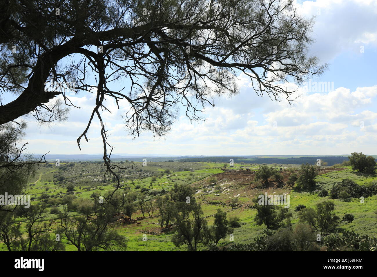 Gath israel archaeology hi-res stock photography and images - Alamy