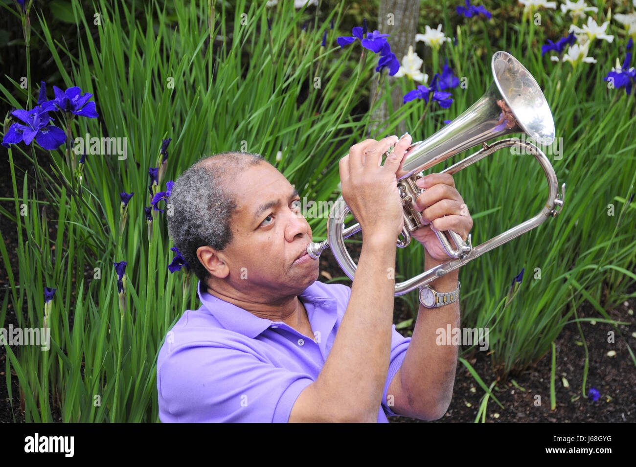 music sound garden flower flowers plant musician jazz humans human ...