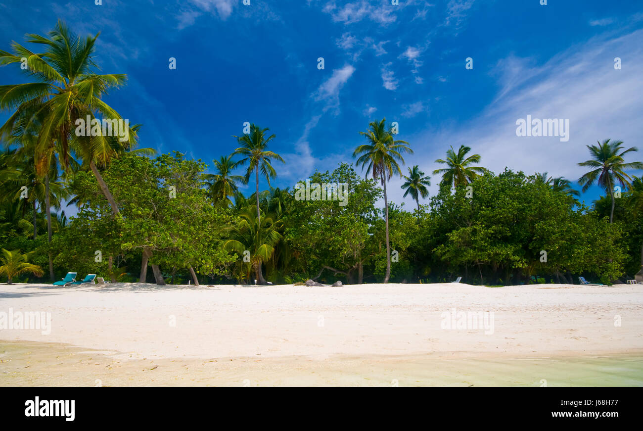 lonely tropical beach Stock Photo - Alamy