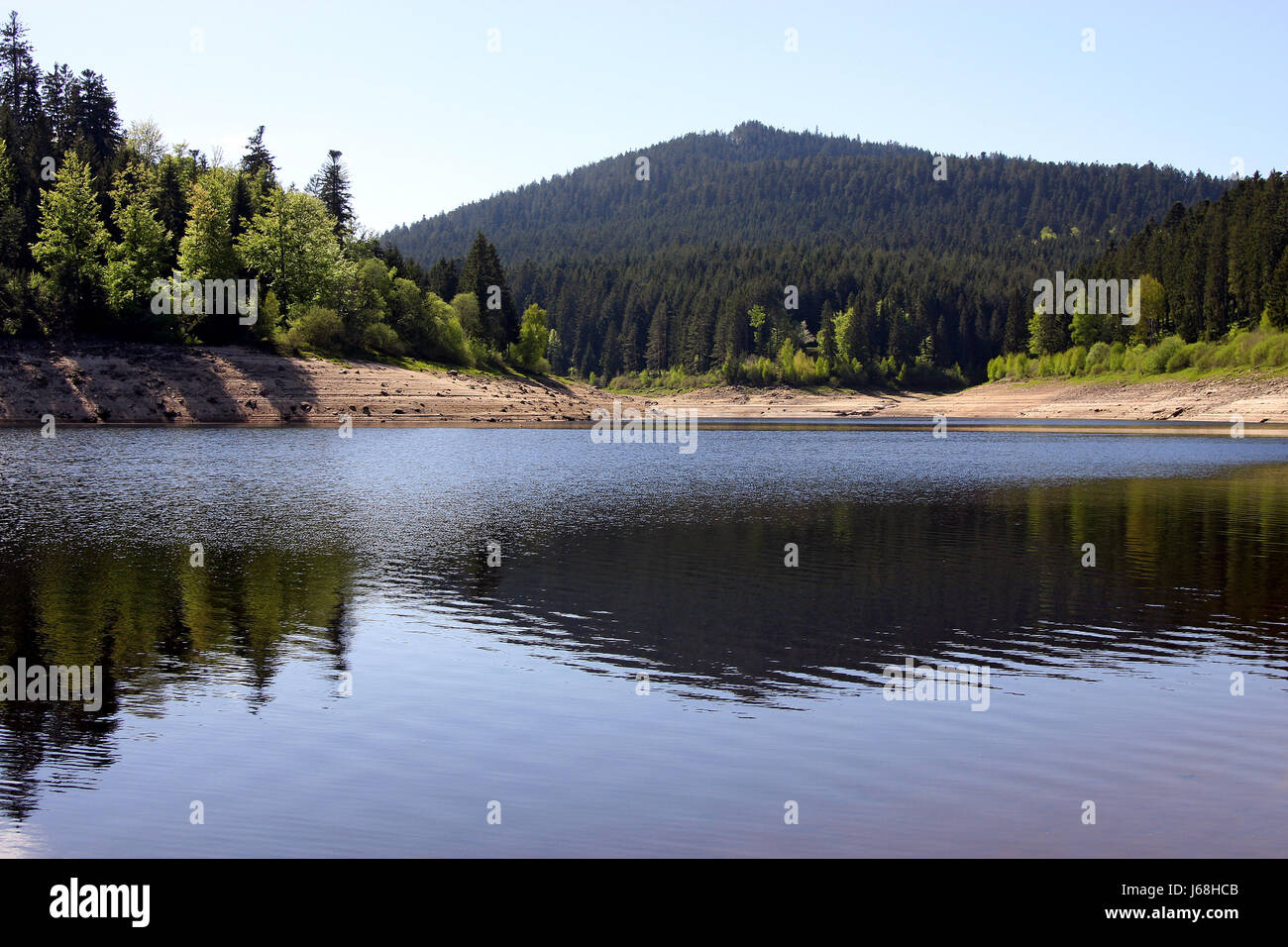 artificial lake black forest drinking water water fresh water lake ...