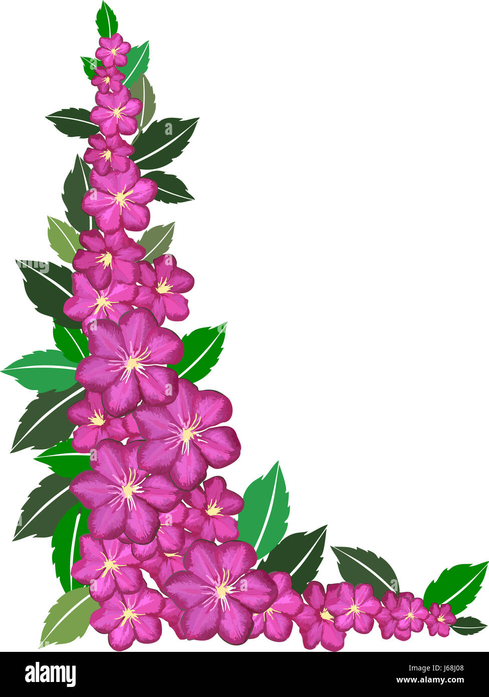 leaf flower plant bloom blossom flourish flourishing frame framework ...