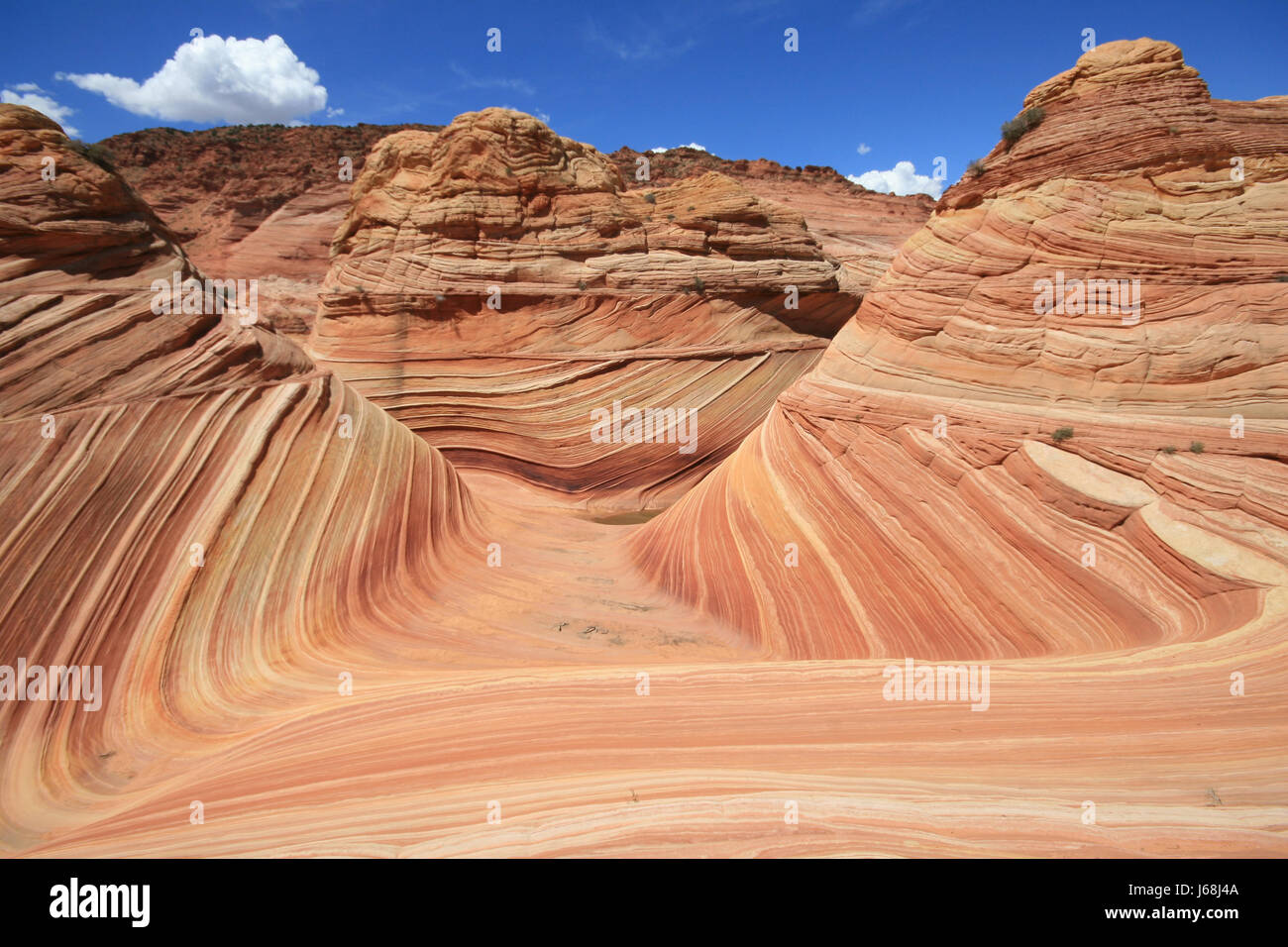 the wave 5 Stock Photo - Alamy