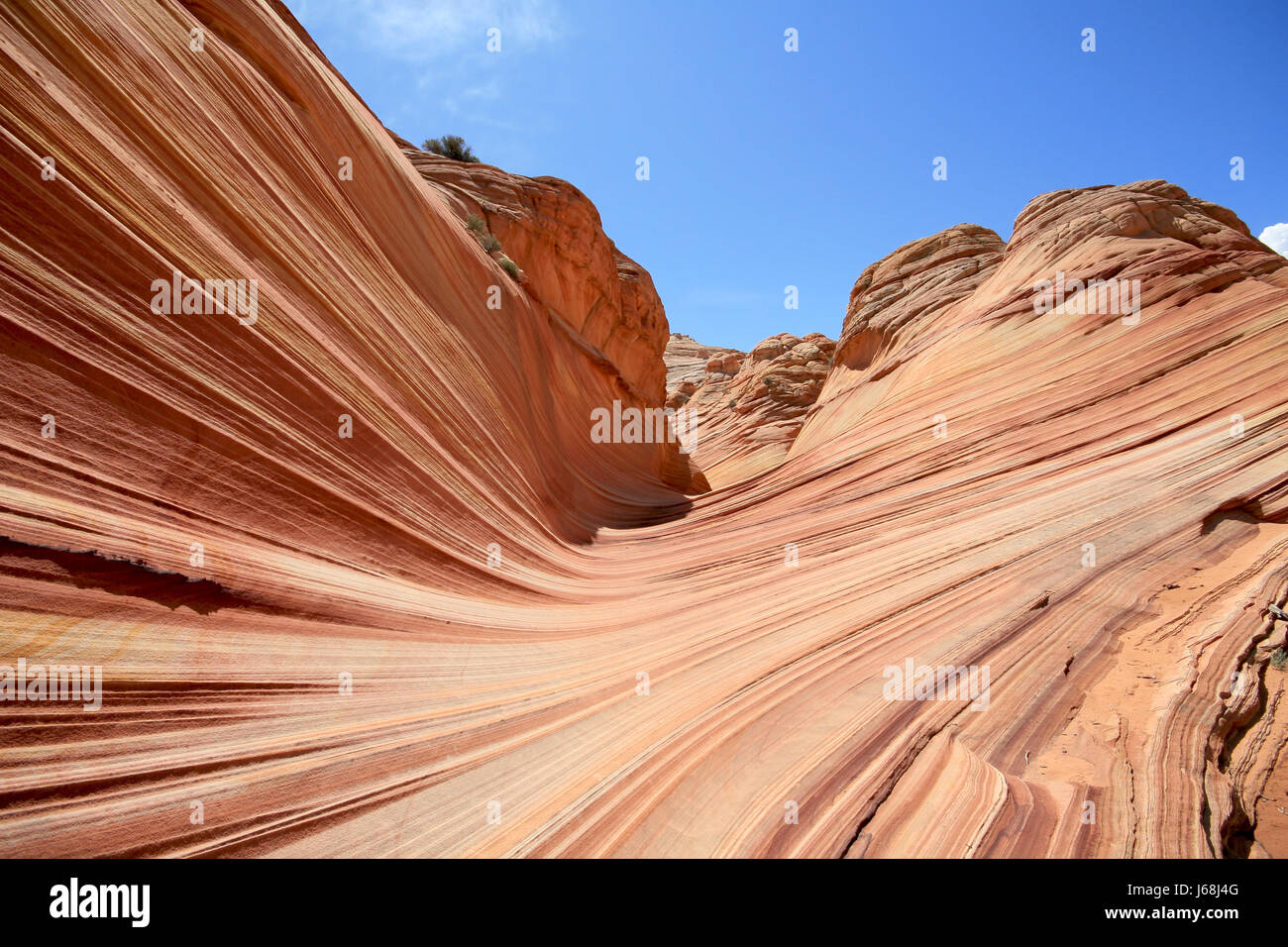 usa america wave arizona formation usa rock america wave sandstone ...