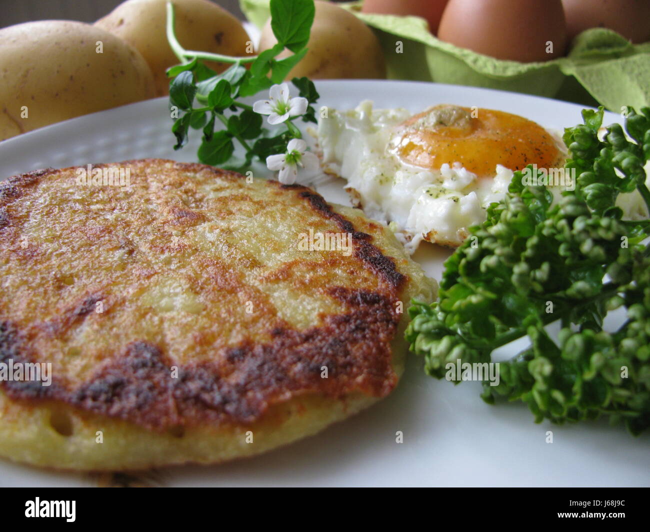 buffer kitchen cuisine boil cooks boiling cooking egg food dish meal ...