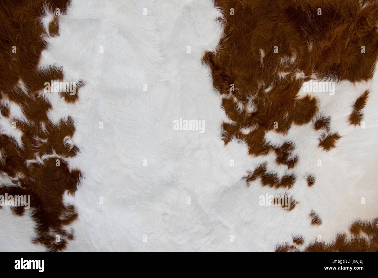 animal skin fur backgrounds textured cowhide hair macro close-up macro ...