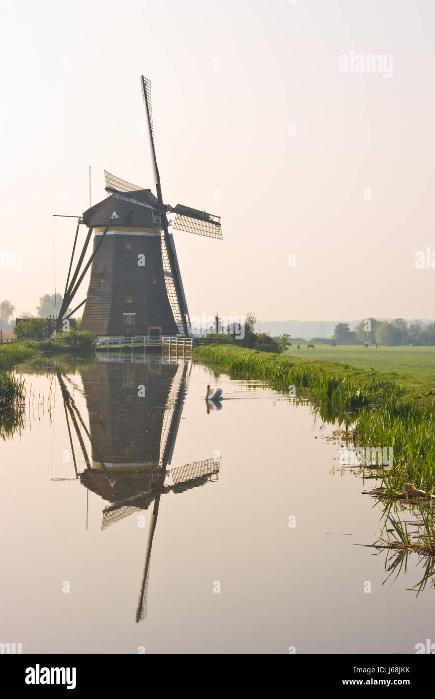 sunrise holland netherlands mill mills dutch agriculture farming field ...