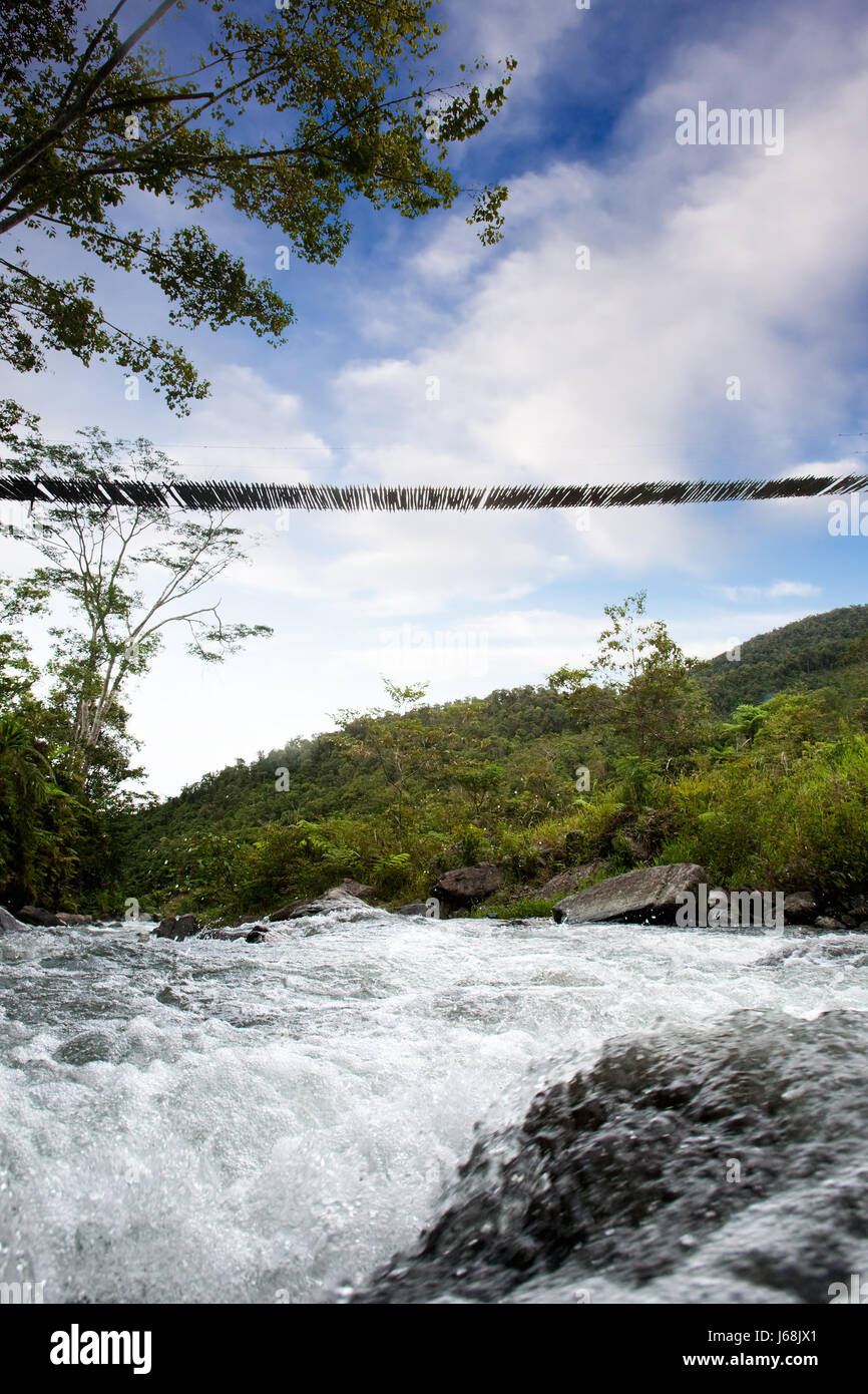 danger flow risk wood bridge stream jungle fear outdoor cable wire ...