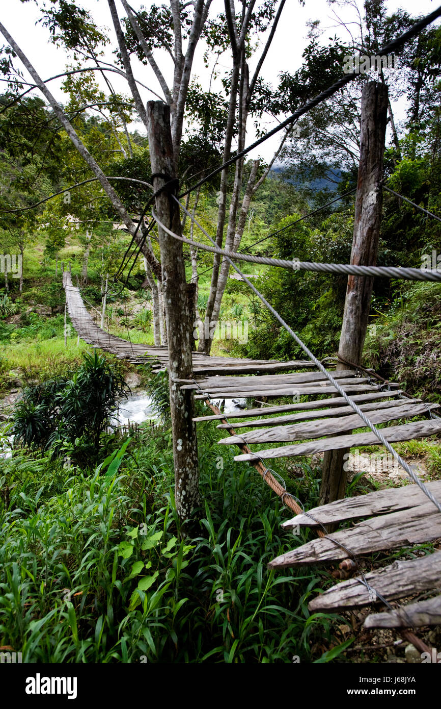 risk wood bridge jungle outdoor cable wooden primitive old path way ...