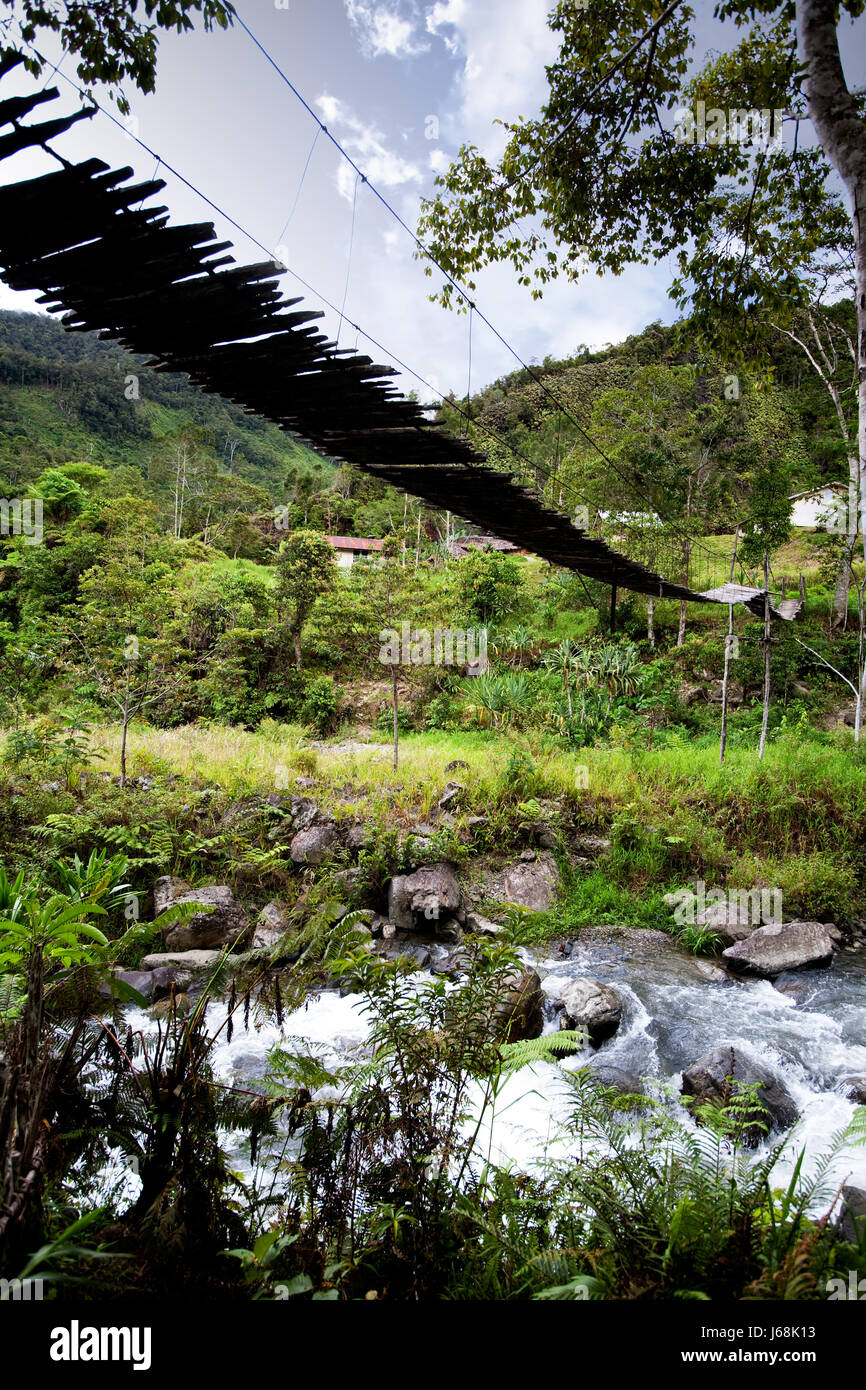 danger flow risk wood bridge stream jungle fear outdoor cable wire ...