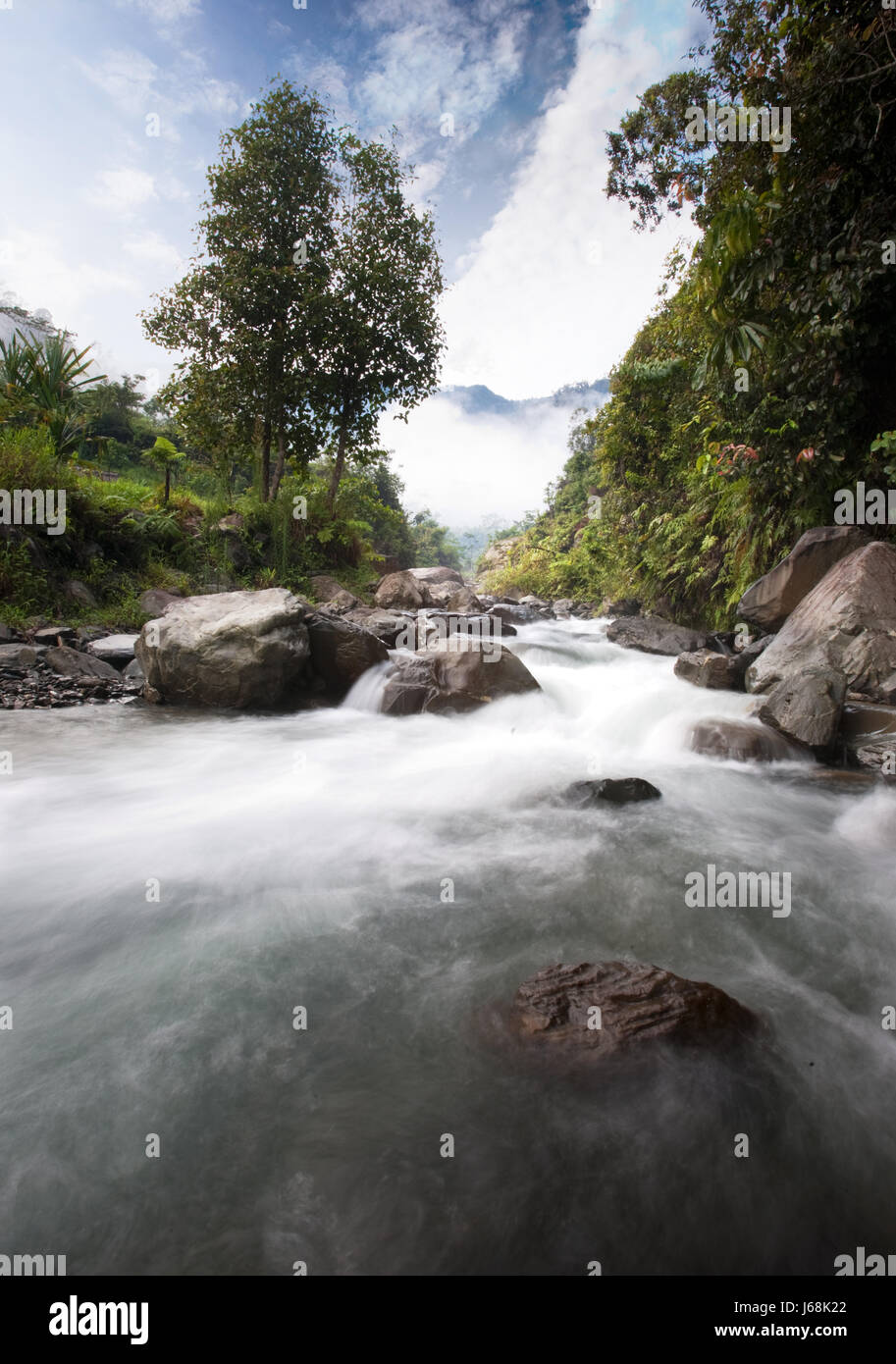 beautiful beauteously nice flow fog stream waterfall outdoor peaceful ...