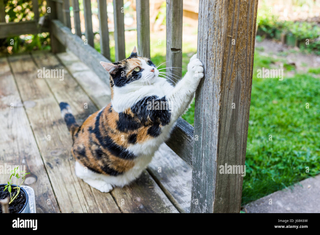Scratching with the nails hi-res stock photography and images - Alamy