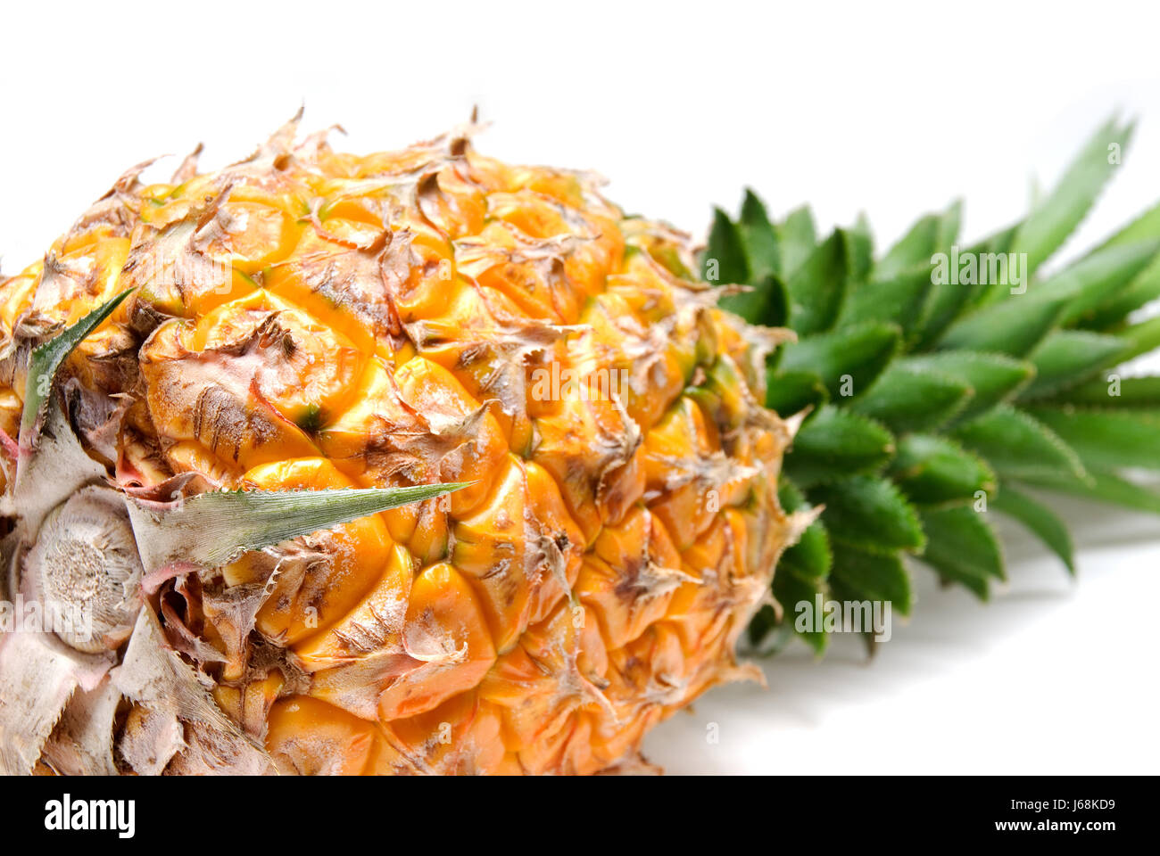 closeup fruit color dessert backdrop background paint orange food ...