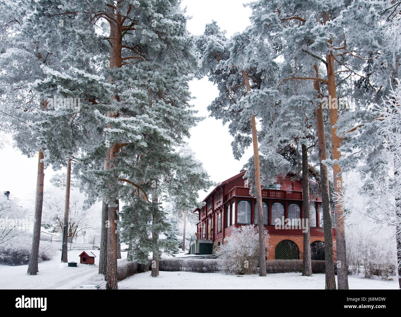 house building city town tree trees winter wood antique pine snow coke ...