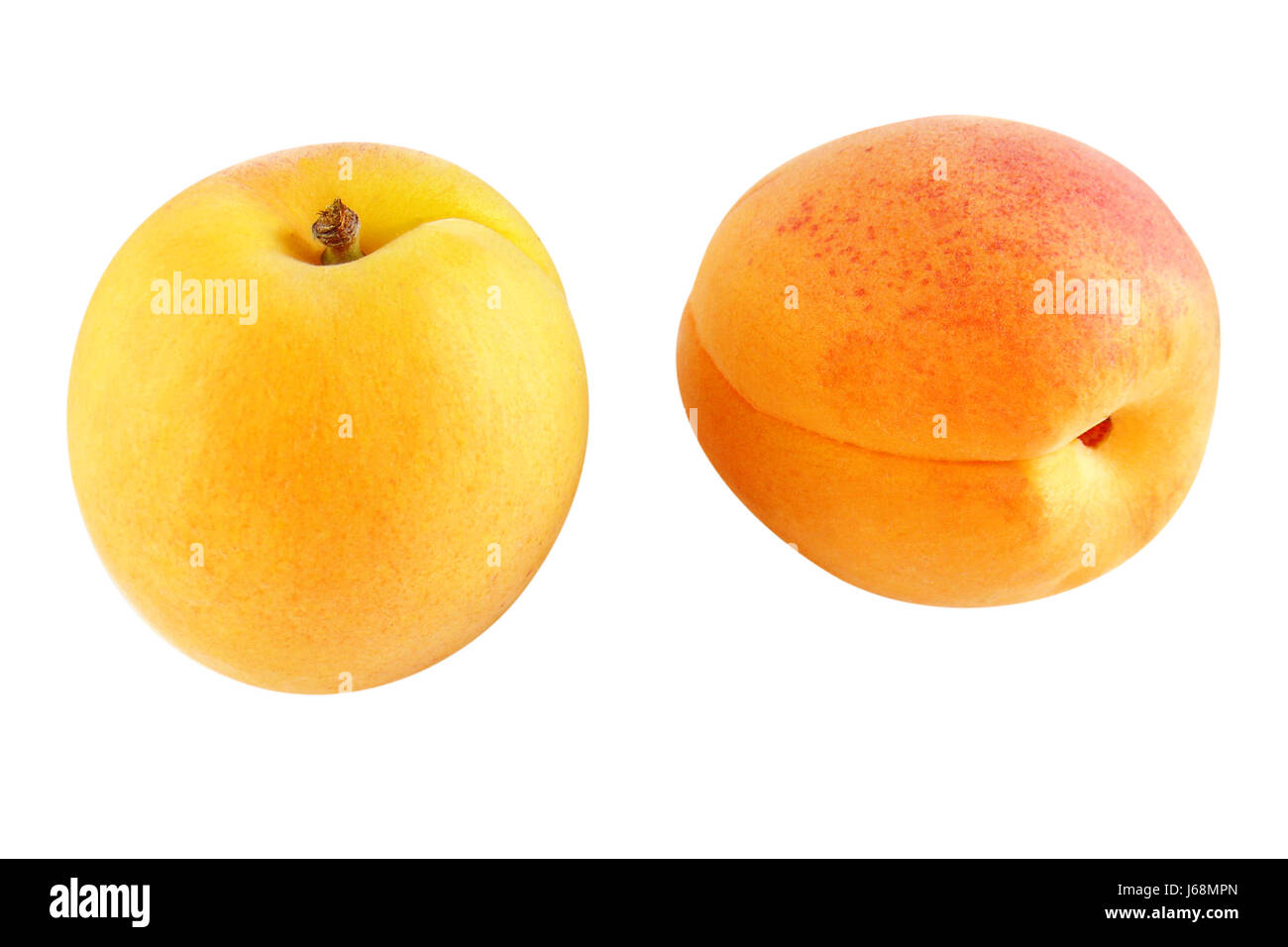 two fruity apricots - isolated Stock Photo - Alamy