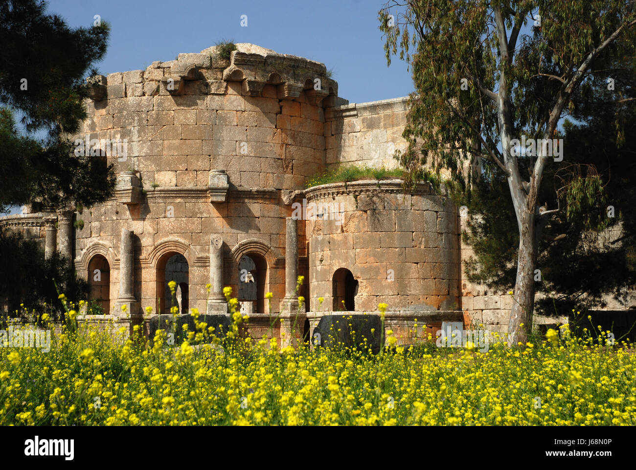 Symeon hi-res stock photography and images - Alamy