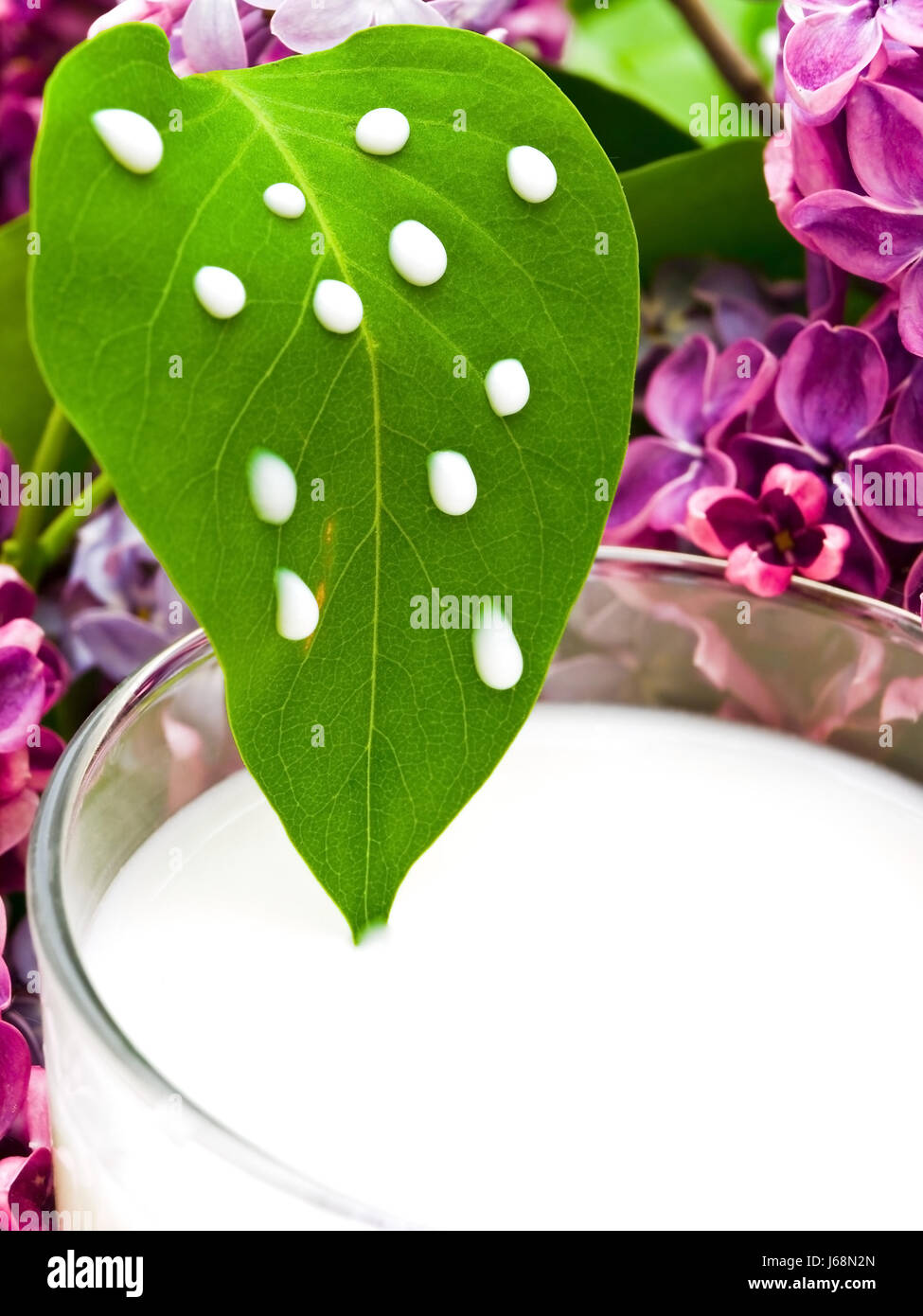 milk lilac drop drip drops seeping sopping drips glass chalice tumbler ...