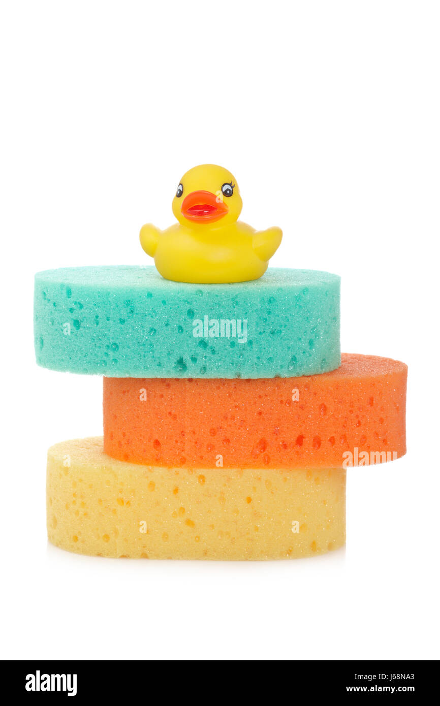 hygiene duck sponge object health wash dirt washing holes dirty ...