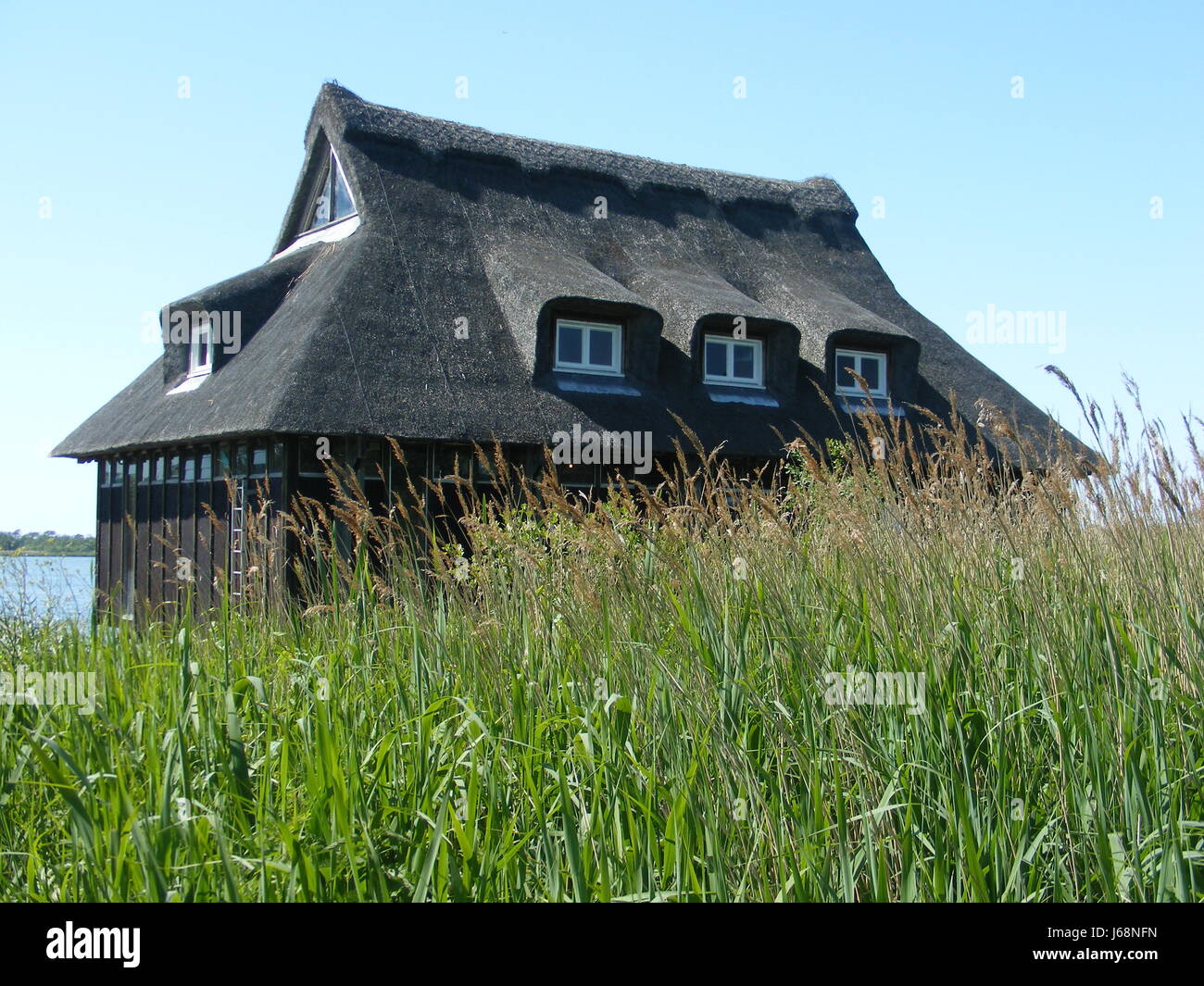 bird wildlife hide sanctuary reserve thatched meadow grass lawn green ...