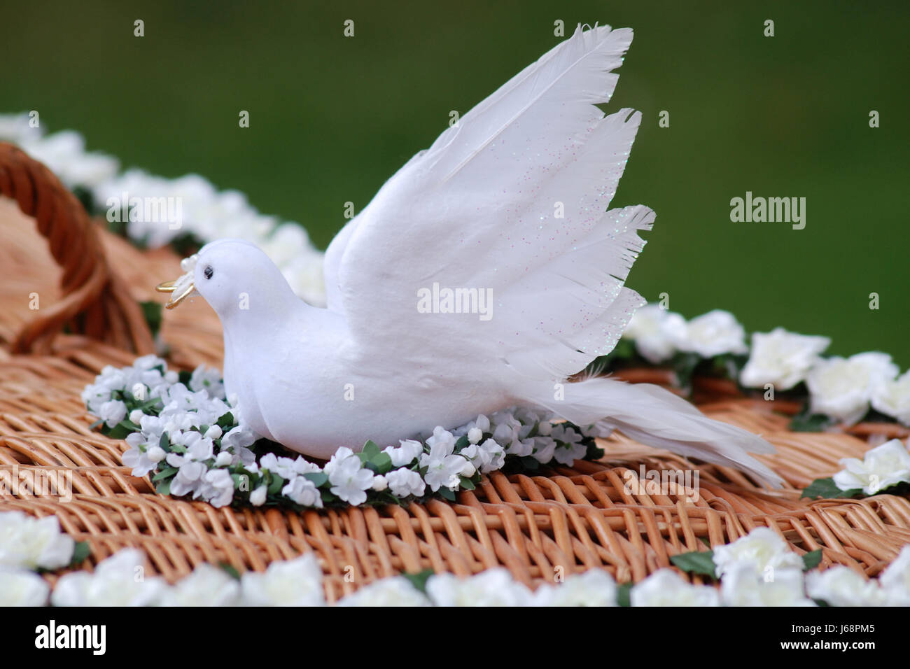 Wedding dove hi-res stock photography and images - Alamy