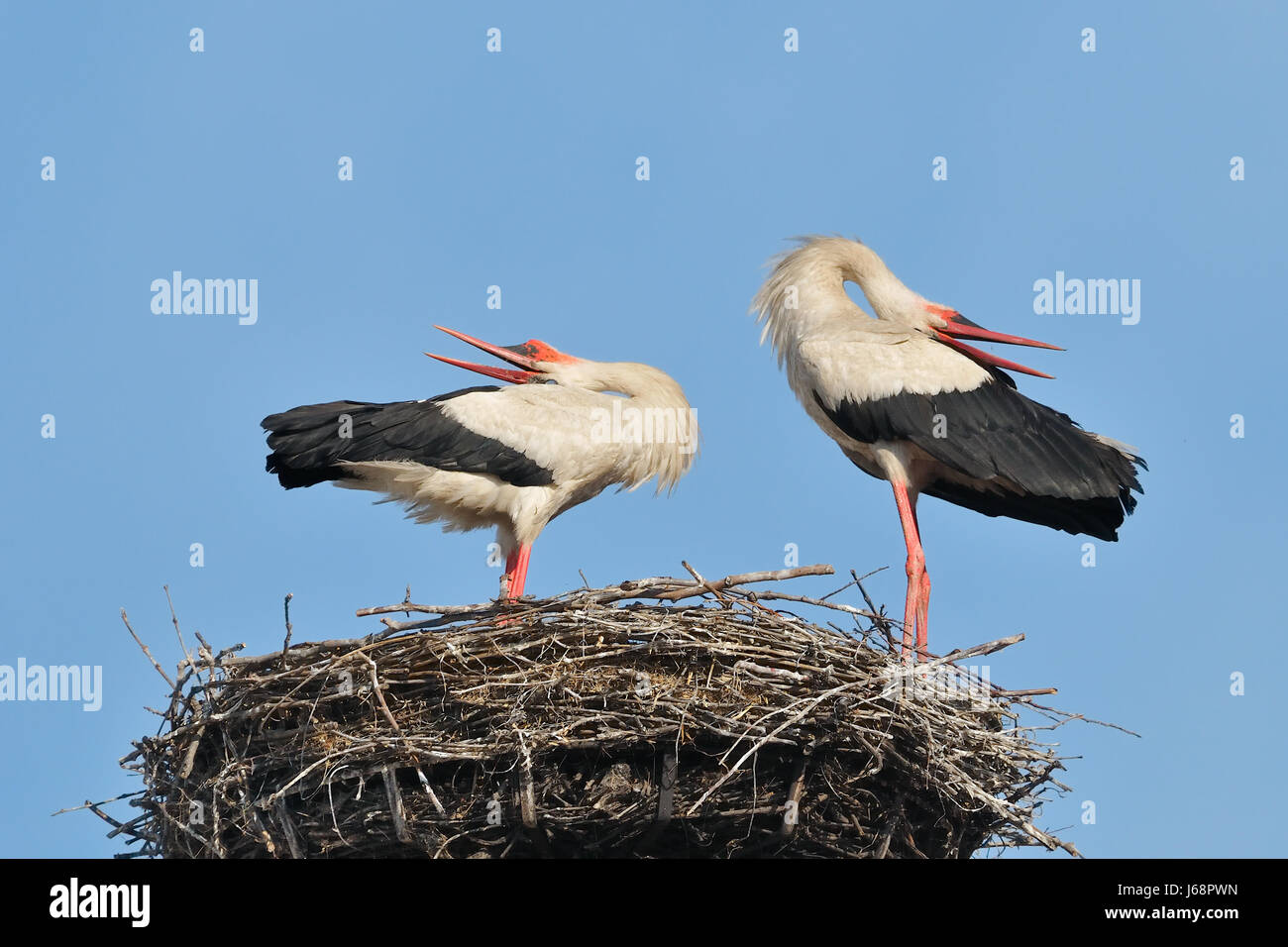 Klapper hi-res stock photography and images - Alamy