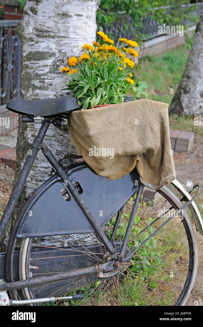 bicycle with flower arrangement Stock Photo - Alamy
