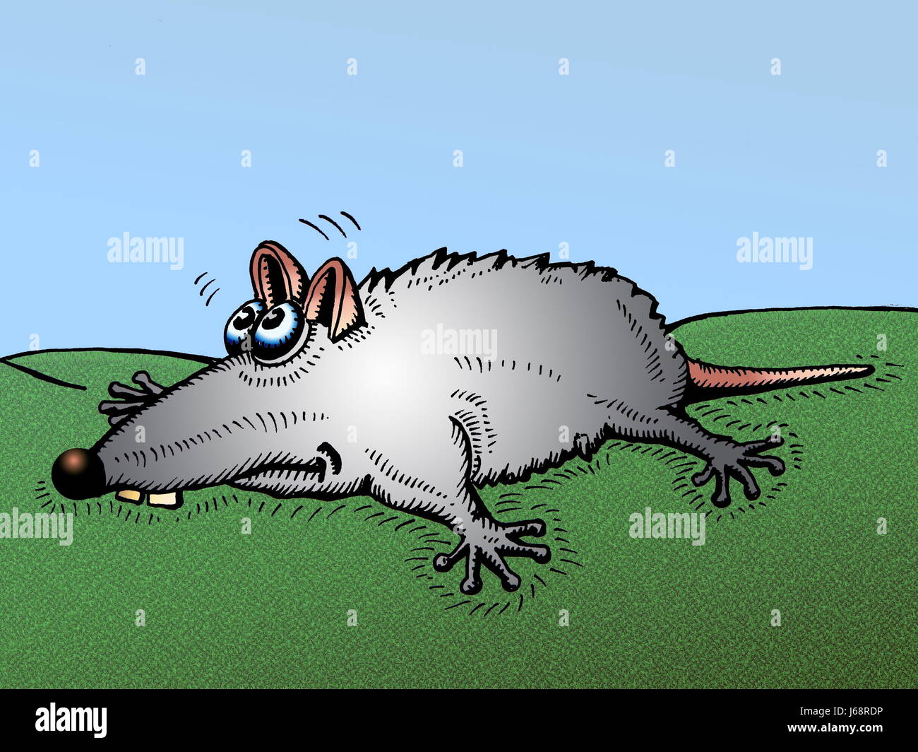 Mausi hi-res stock photography and images - Alamy