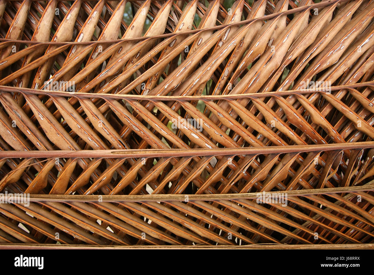 braid of coconut fronds Stock Photo - Alamy