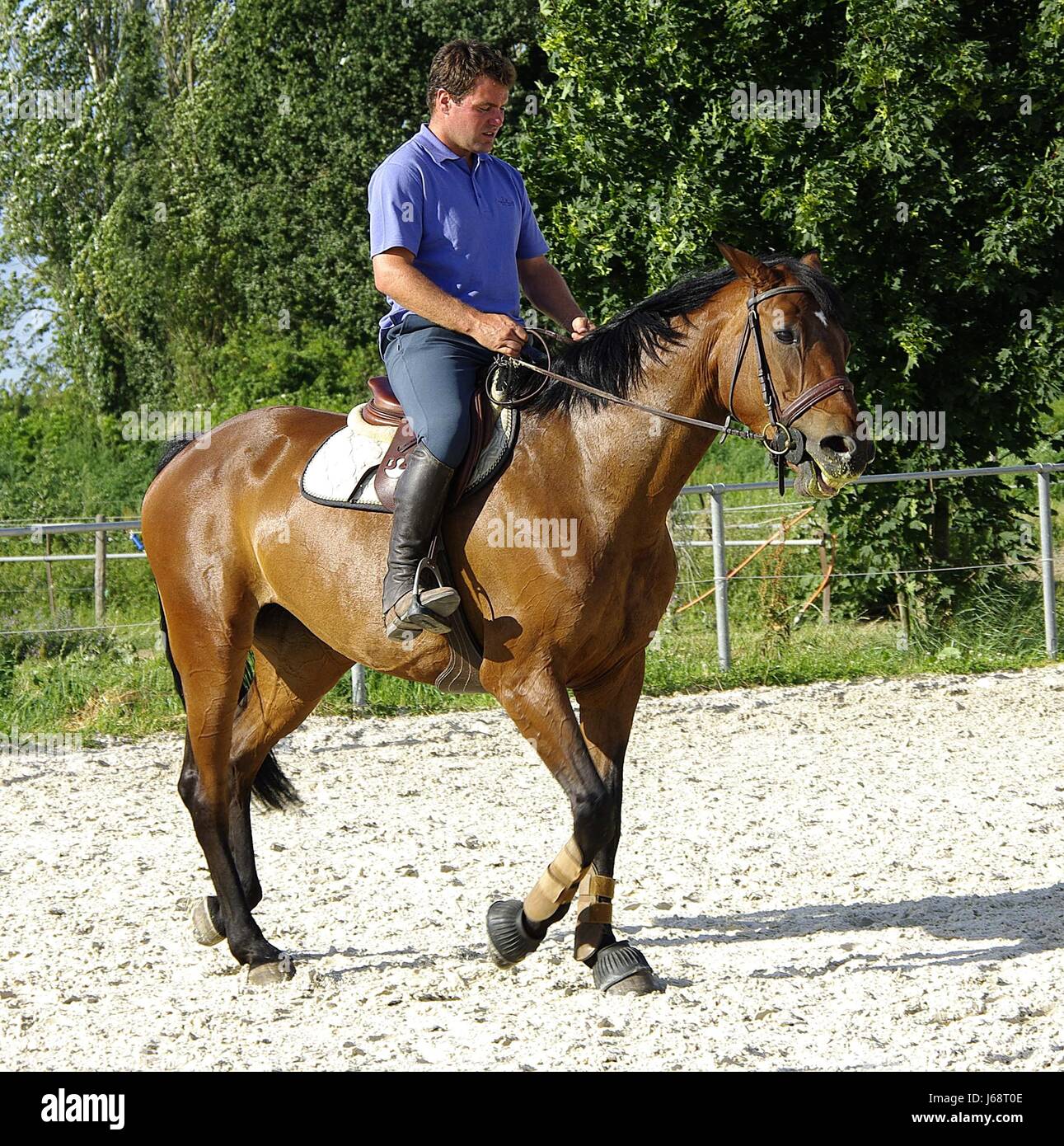 Equestrian clothes hi-res stock photography and images - Alamy