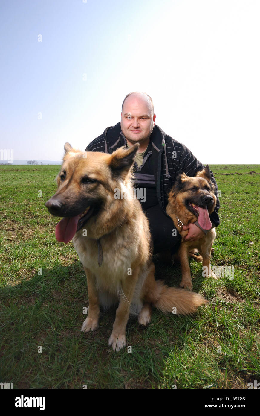 man with dogs Stock Photo - Alamy