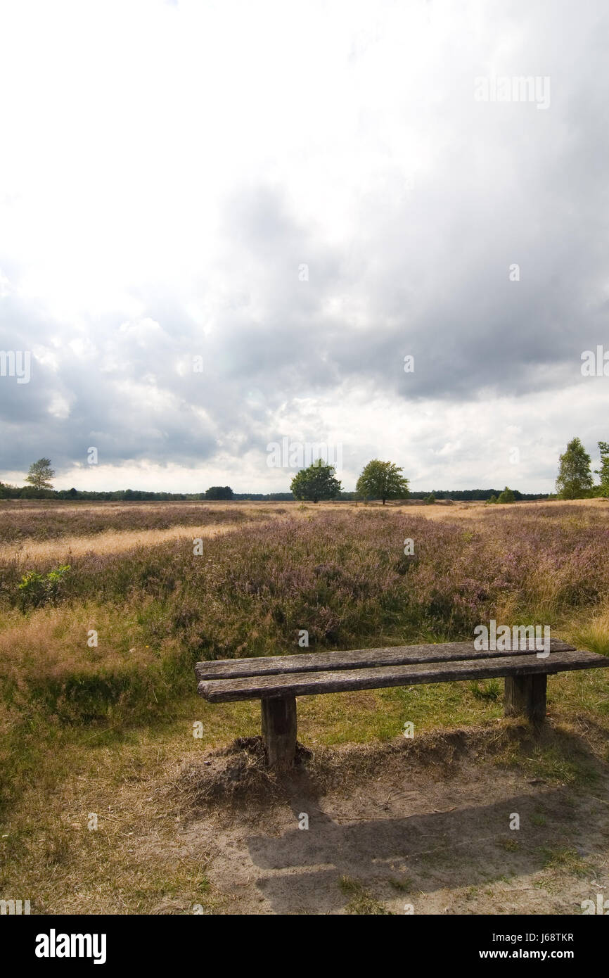 bank der heide Stock Photo - Alamy