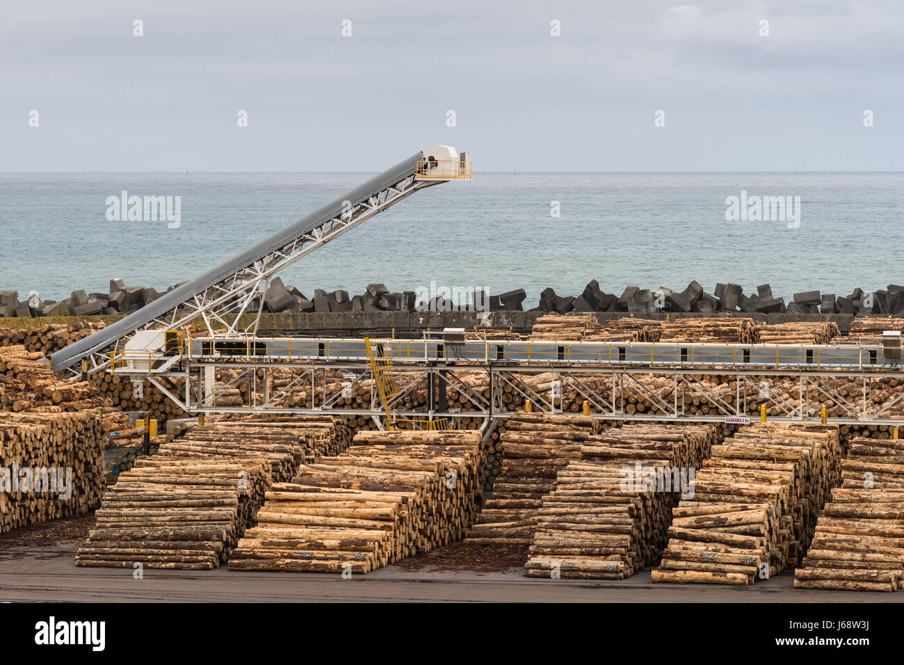 Napier, New Zealand - March 9, 2017: Part of large timber harbor under ...