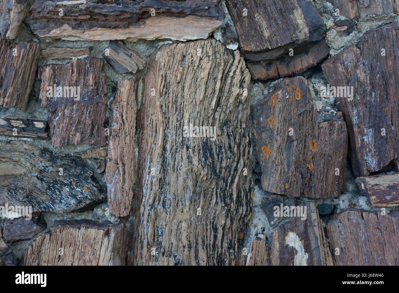 wood rock wall petrified backdrop background tree stone trunk rock ...