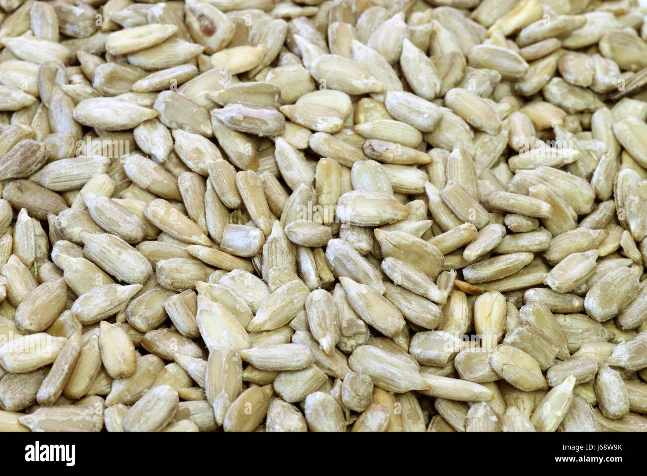 shelled sunflower seeds Stock Photo - Alamy