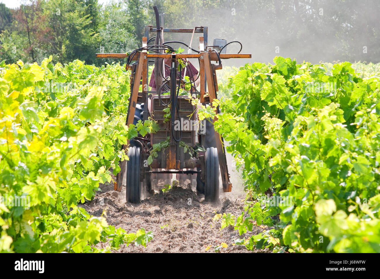 engine drive motor agriculture farming cultivation of wine vineyard ...