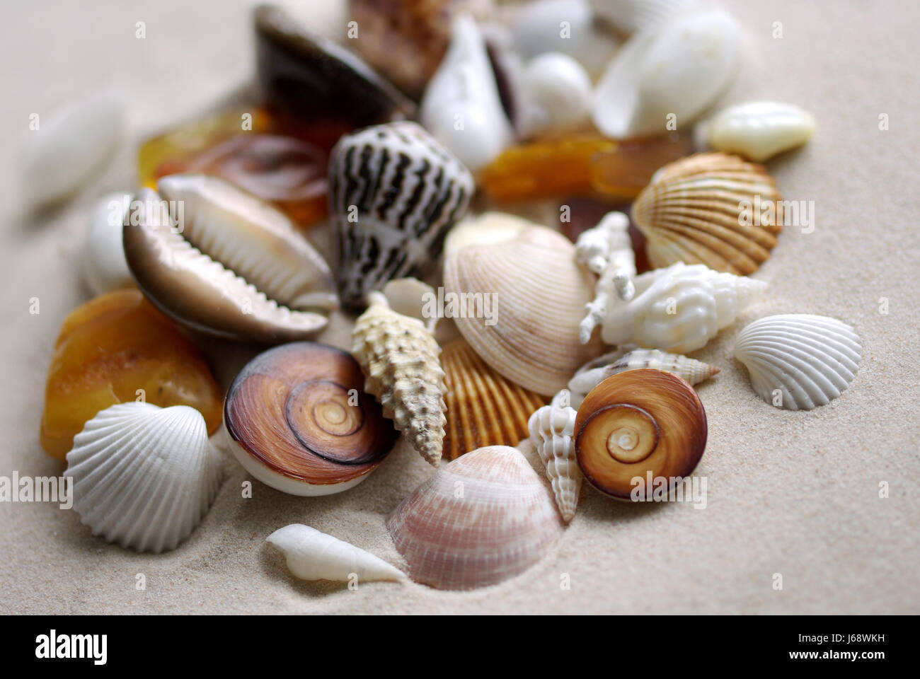 Beach minerals resources hi-res stock photography and images - Alamy