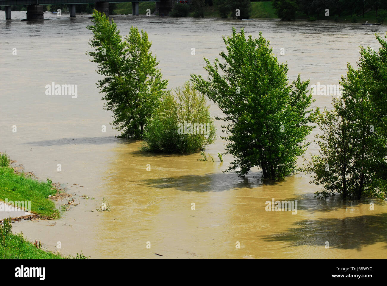 vienna danube flood pavement water level roads vienna austrians danube ...