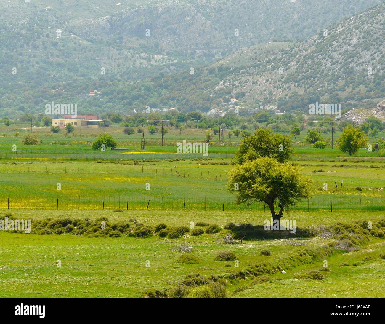 agriculture farming level plateau fertile haycocks meadow crete tree ...
