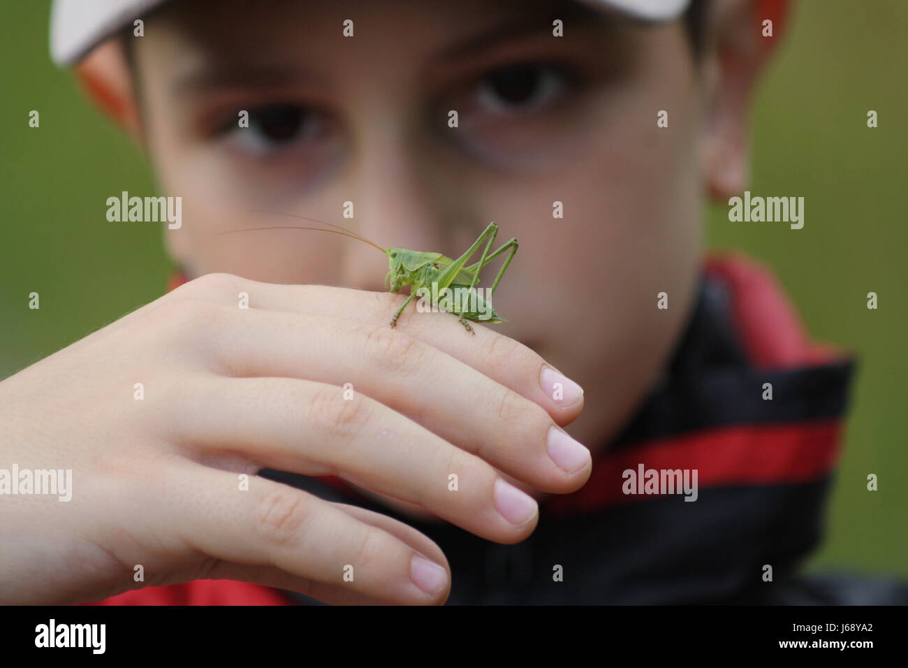 hand finger face spring bouncing bounces hop skipping frisks jumping ...