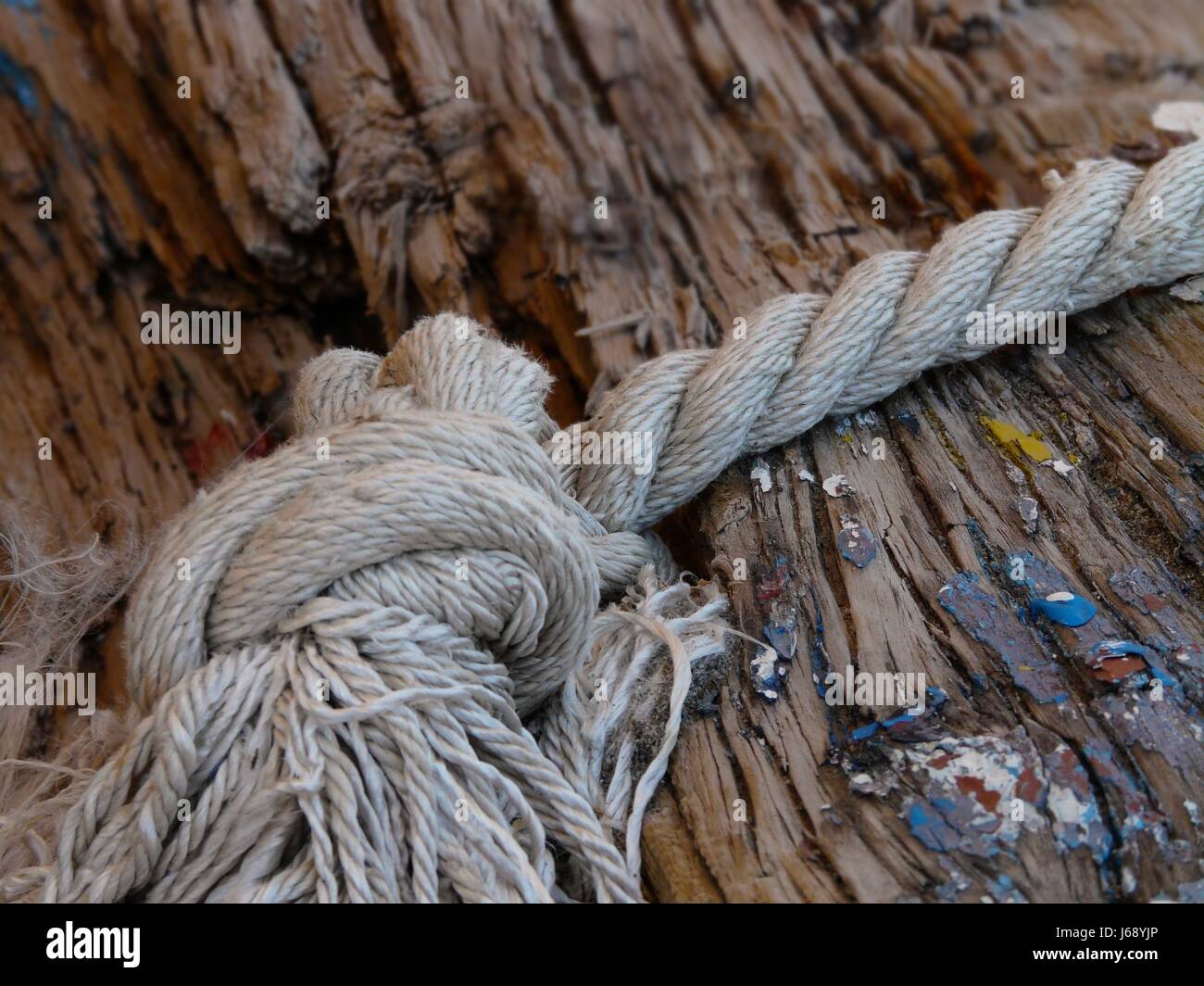 wood dew weatherworn rotten rope knot old navigation harbor ailing ...