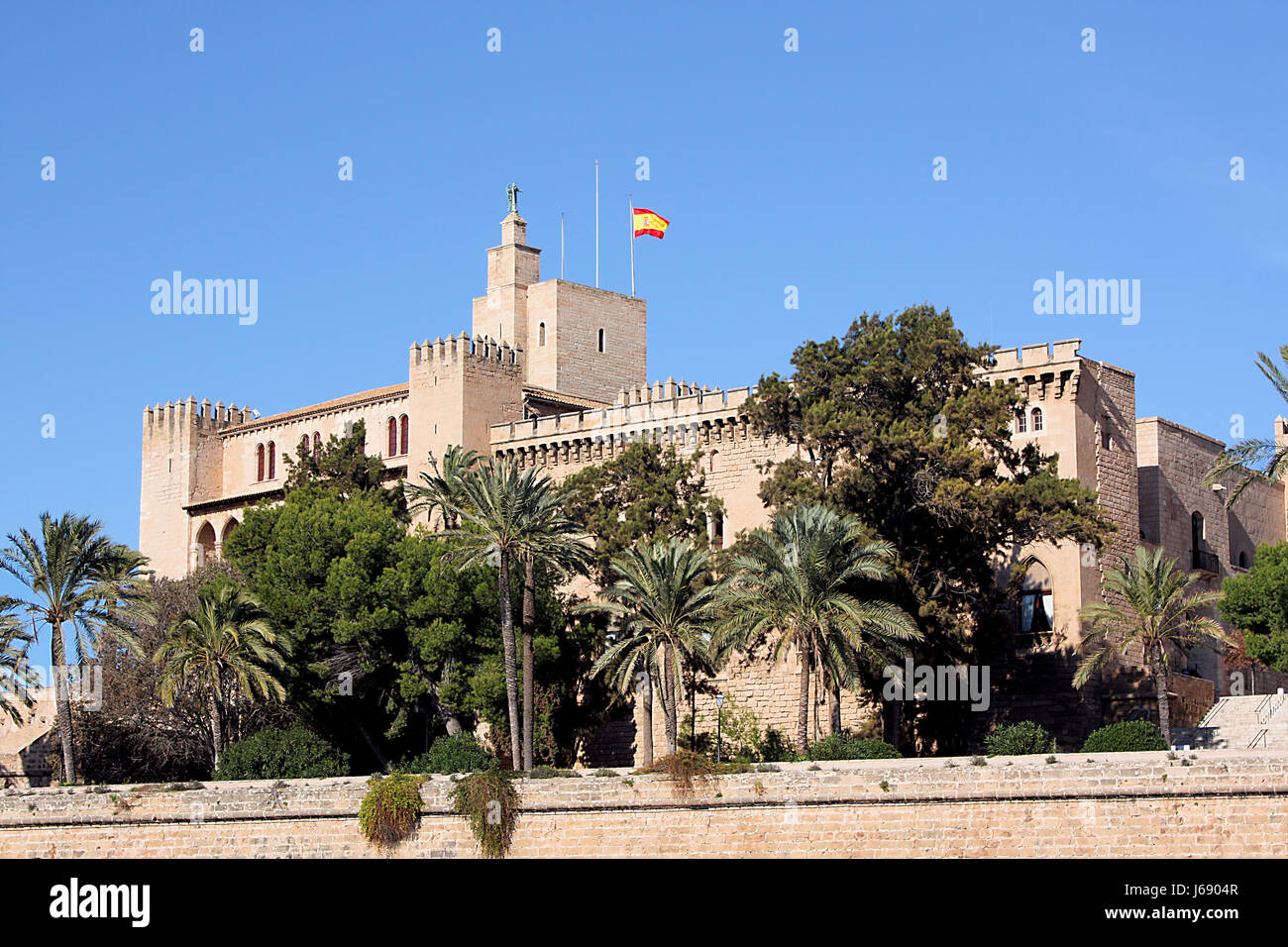 historical palm tree gothically palau gothic blue tower historical ...