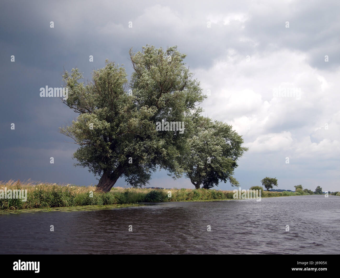 Ombrogen hi-res stock photography and images - Alamy