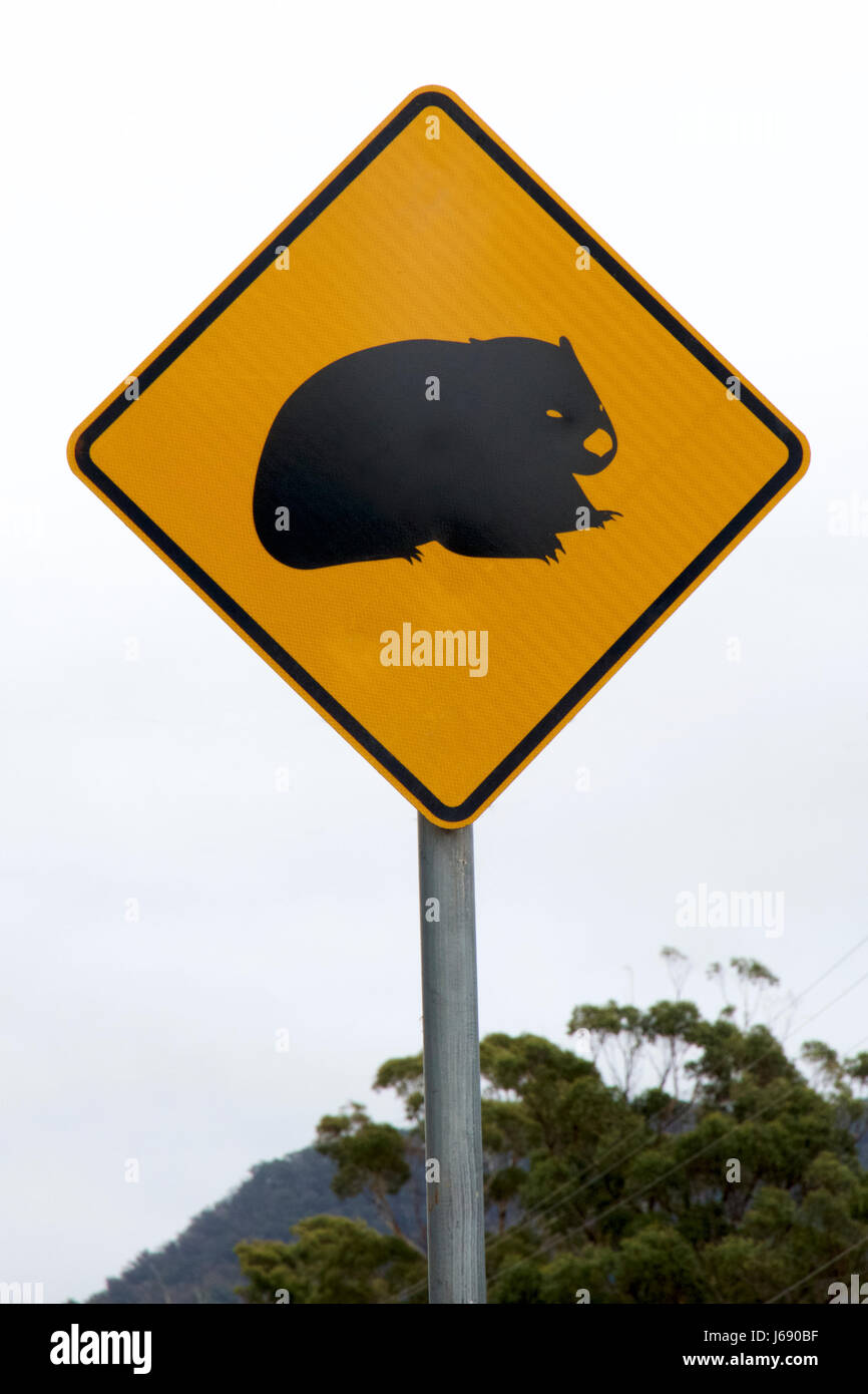 Wombat warning sign hi-res stock photography and images - Alamy