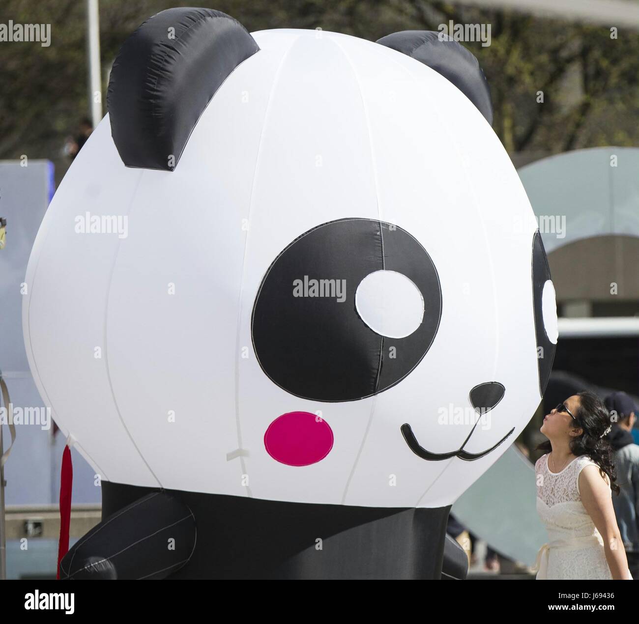 China canada panda hi-res stock photography and images - Alamy