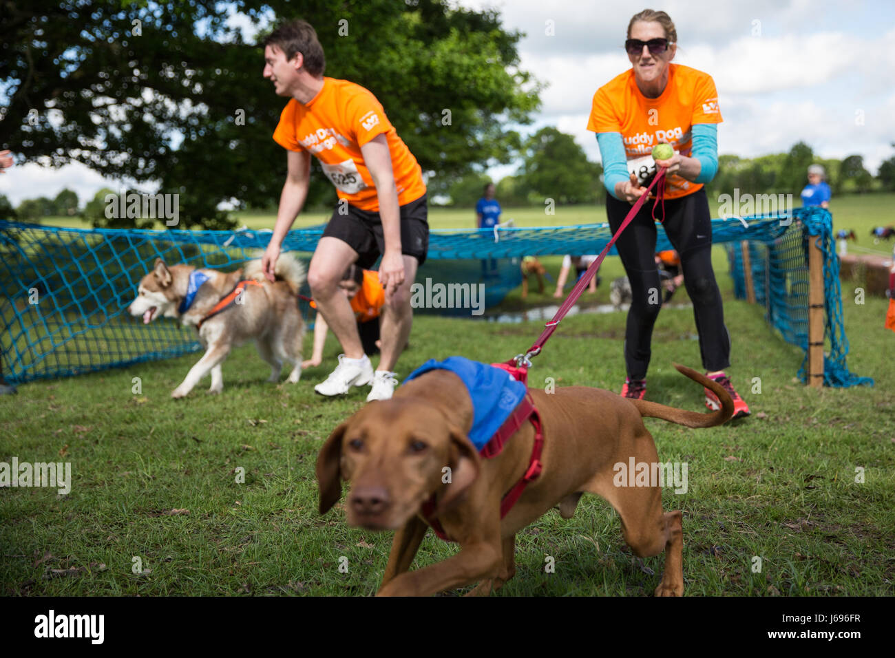 Windsor, UK. 20th May, 2017. Dogs and owners compete in the Muddy Dog ...