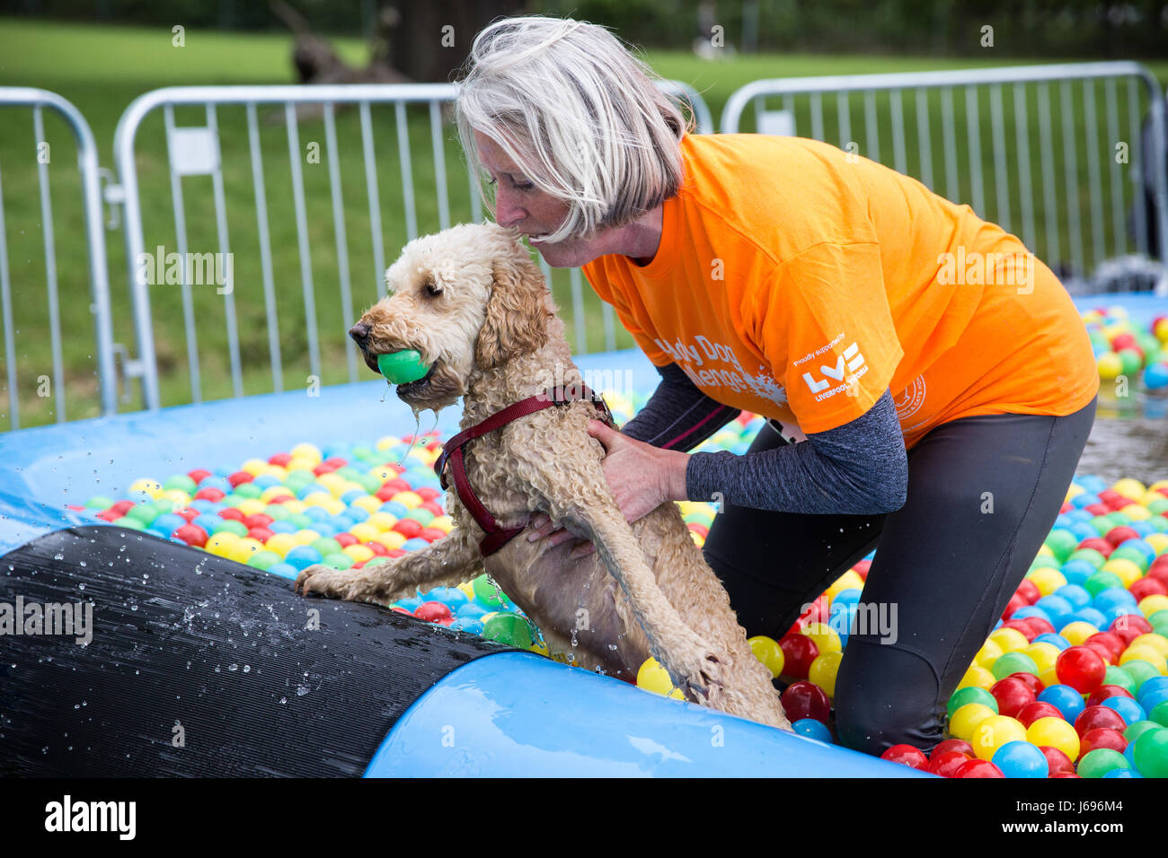 Windsor, UK. 20th May, 2017. Dogs and owners compete in the Muddy Dog ...