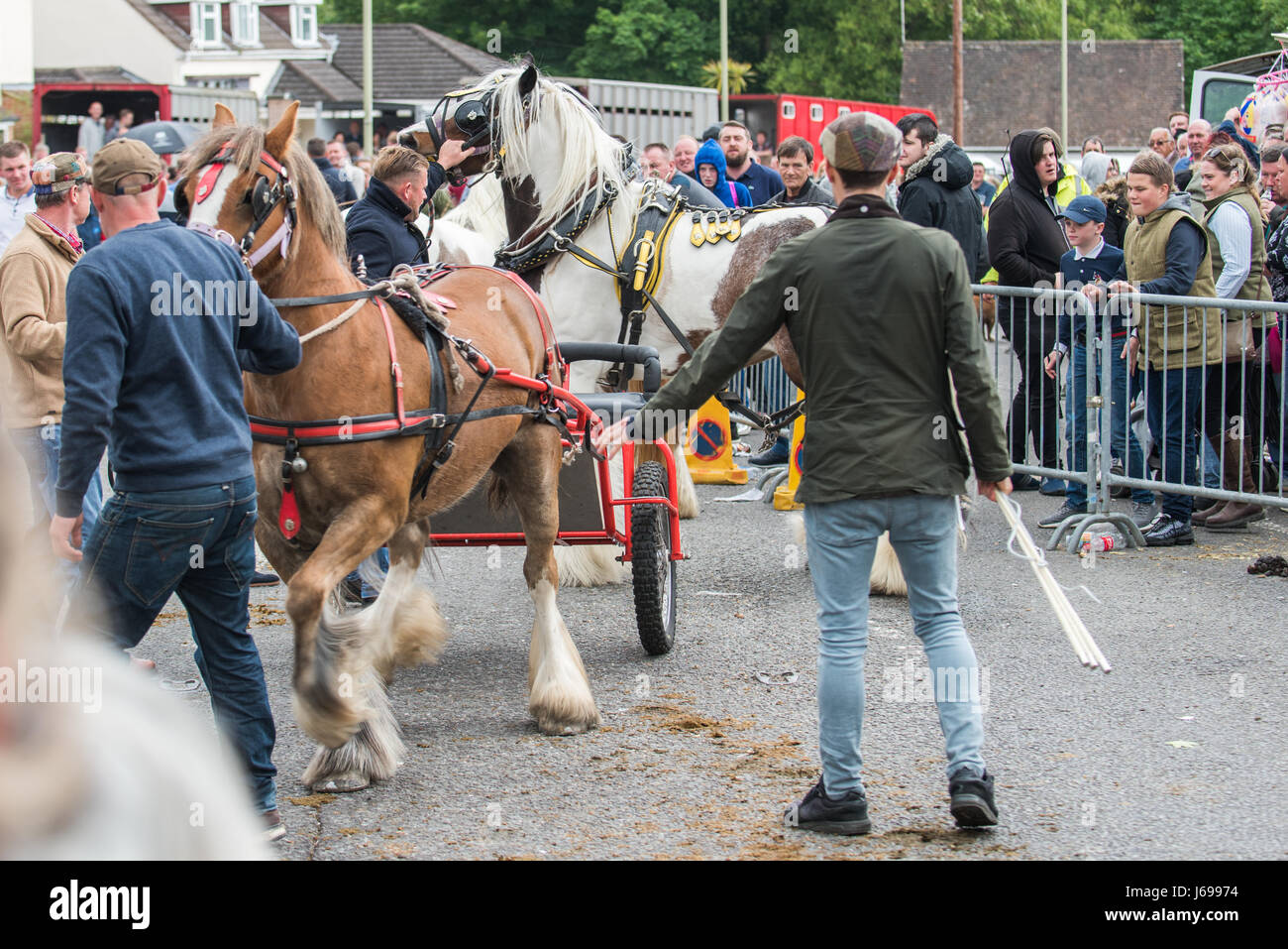Wickham, Hampshire, United Kingdom. 20th May, 2017. Wickham Horse Fair ...