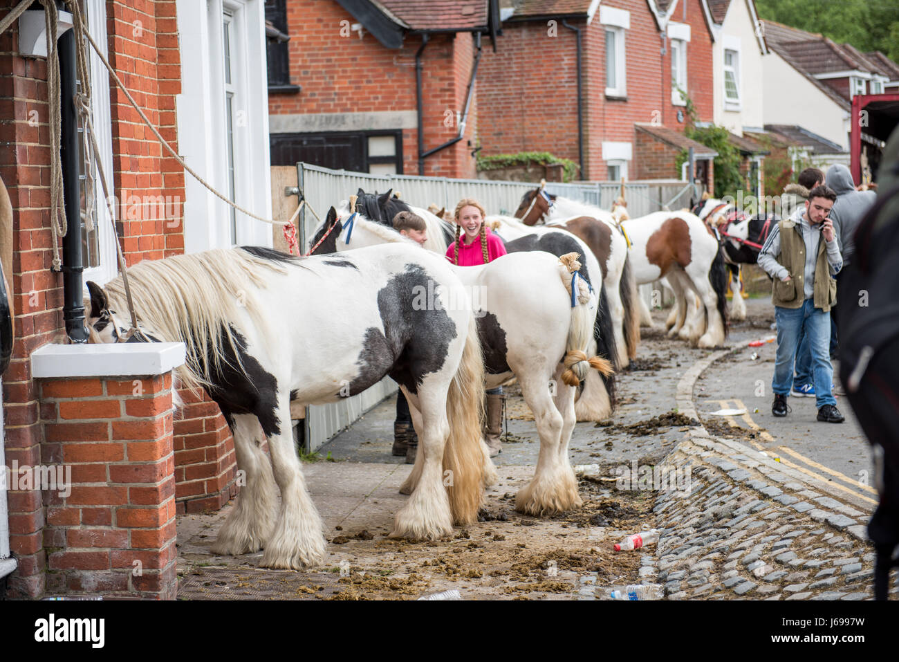 Wickham annual horse fair hi-res stock photography and images - Alamy