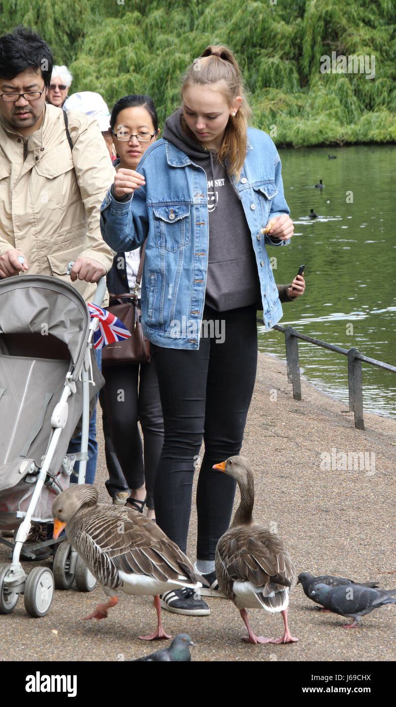 London, UK. 20th May, 2017. UK Weather: Overcast day in London doesn't ...