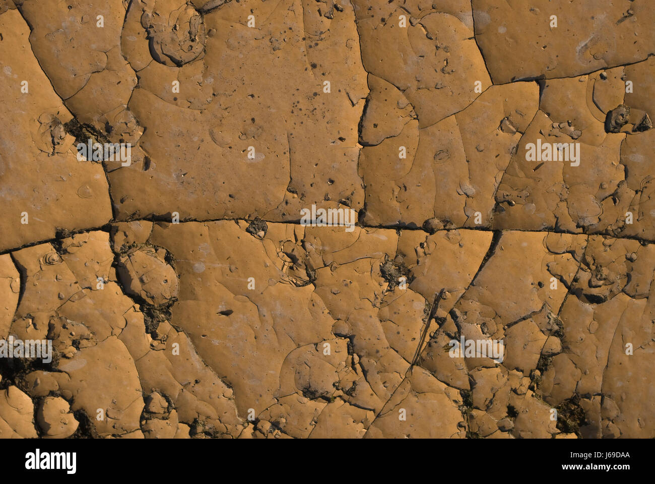 environment enviroment dirt drought pattern globe planet earth world ...