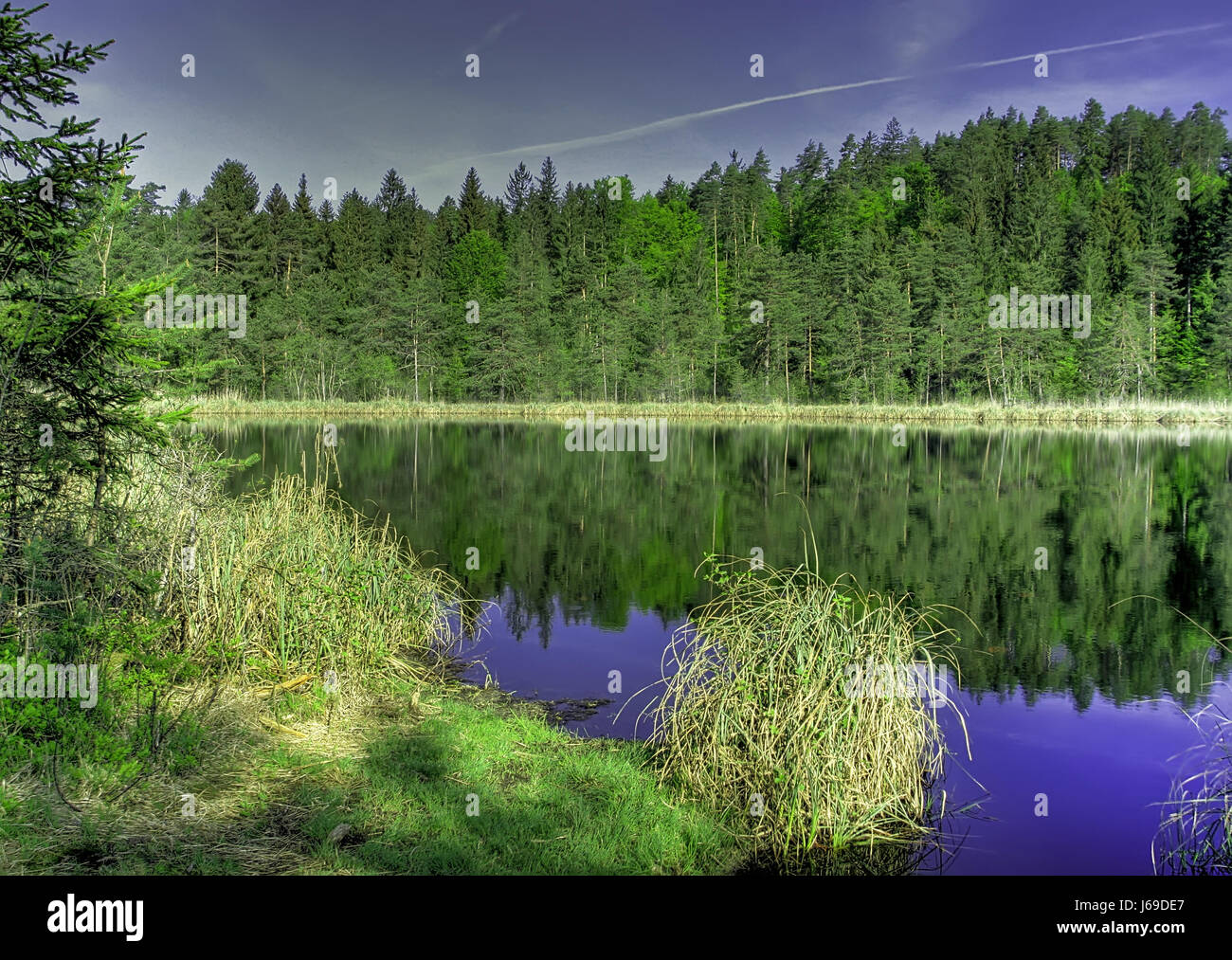 Forstsee hi-res stock photography and images - Alamy